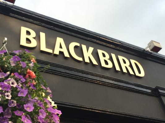 BLACKBIRD - 152 Photos & 47 Reviews - 84 Lower Rathmines Road ...