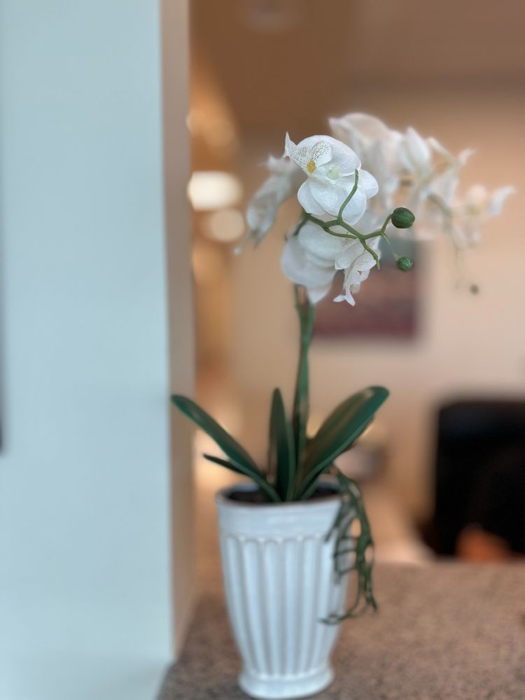 ACTIVATION CLINIC - Updated September 2025 - 10 Photos - 1229 Young St ...