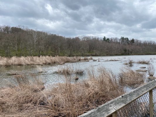 LAKE REDMAN BOARDWALK - Updated October 2025 - 10 Photos - Iron Stone ...