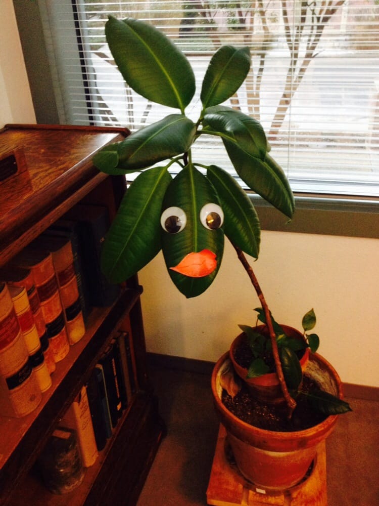 TEXAS STATE LAW LIBRARY - Updated May 2024 - 205 W 14th St, Austin ...