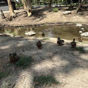 TURTLE ROCK NATURE CENTER - Updated November 2025 - 11 Photos - 1 ...