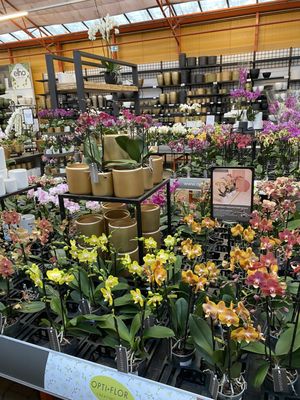 TUINCENTRUM OSDORP - Updated December 2025 - 55 Photos & 14 Reviews ...