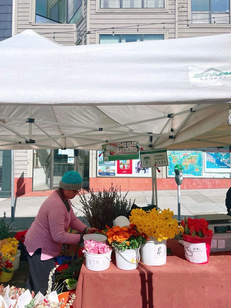 MOUA FARM - Updated July 2025 - 332 Los Garcias Ln, Elverta, California ...