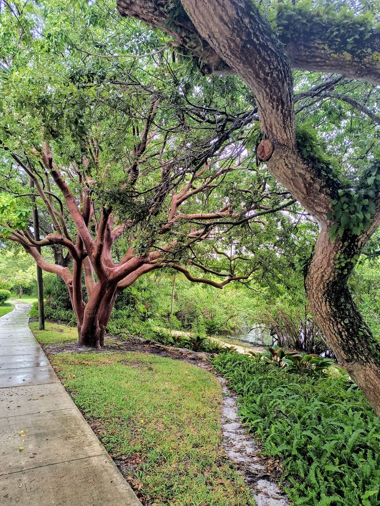 ANNIE BECK PARK - Updated January 2026 - 62 Photos - N Victoria Park Rd ...