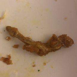 WINGS OVER SPRINGFIELD - Updated December 2025 - 104 Photos & 134 ...