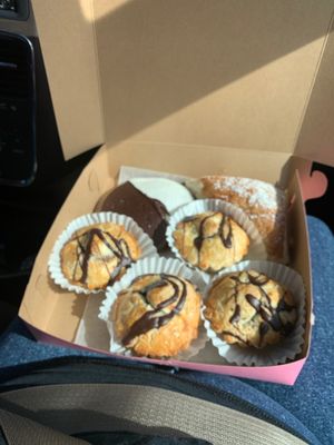 BELLA BAKERY - 31 Photos & 13 Reviews - 904 State Fair Blvd, Syracuse ...