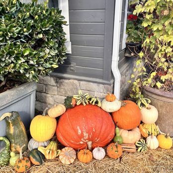 SPOONER FARMS - Updated December 2025 - 149 Photos & 99 Reviews - 9710 ...