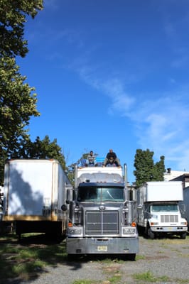 UMEX MOVING & STORAGE - Updated November 2024 - 59 Photos & 82 Reviews ...