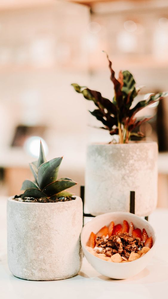 EIGHTY TWENTY CAFE - Updated January 2026 - 26 Photos - 556 Perry Ave ...