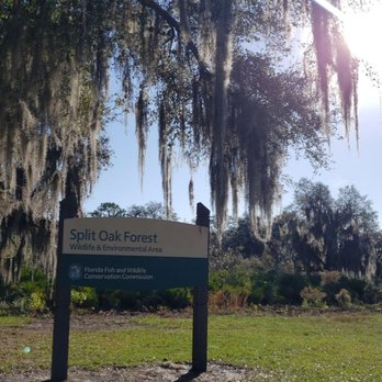 SPLIT OAK FOREST - Updated July 2025 - 85 Photos & 16 Reviews - 12901 ...