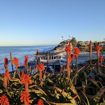 MOONLIGHT STATE BEACH - Updated January 2025 - 909 Photos & 363 Reviews ...