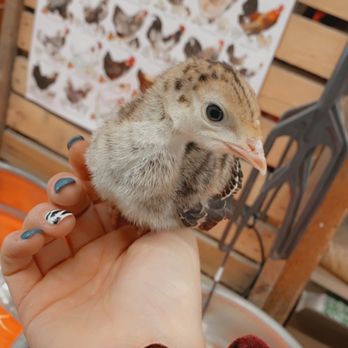 GRAHAM HAY MARKET - Updated December 2025 - 13 Reviews - 22818 Meridian ...