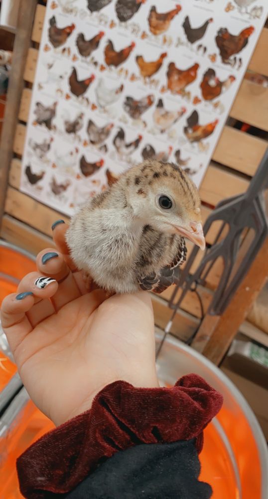 GRAHAM HAY MARKET - Updated August 2025 - 12 Reviews - 22818 Meridian ...