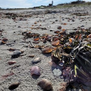 BARRINGTON BEACH - Updated August 2025 - 31 Photos & 13 Reviews - 87 ...