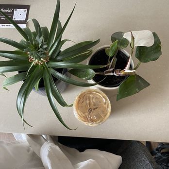 JAVA MAN COFFEE - Updated July 2024 - 161 Photos & 131 Reviews - 508 SW ...