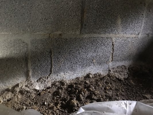 A PERMATREAT PEST & TERMITE CONTROL - Updated December 2025 - 10 Photos ...