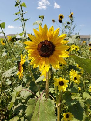 THE BEE HUGGER - Updated August 2024 - 39 Photos & 13 Reviews - 12590 ...