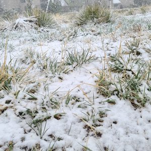 H2O’BRIEN POOL - Updated October 2025 - 27 Photos & 11 Reviews - 10795 ...