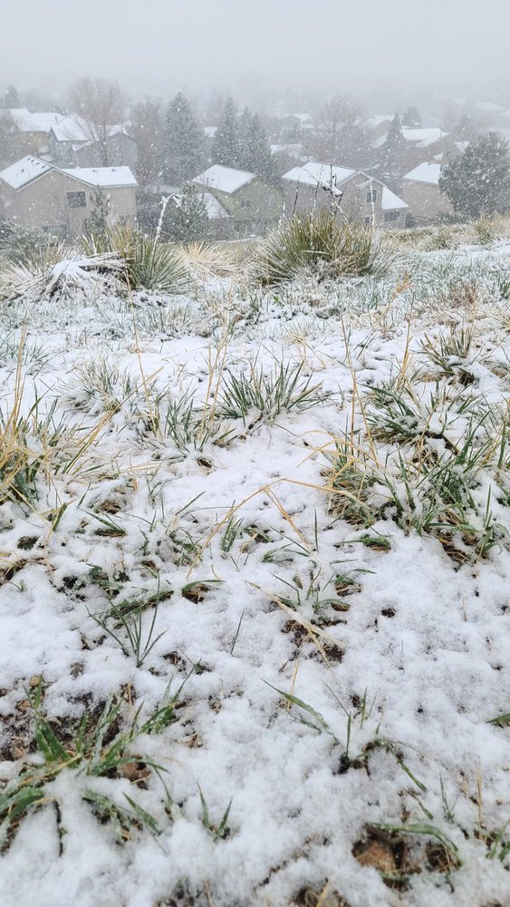 LOOKOUT POOL - Updated October 2025 - 5455 S Riviera Way, Aurora ...