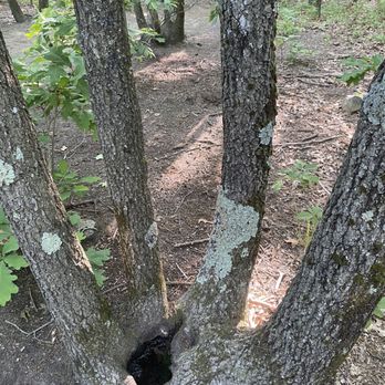 WHIPPLE HILL - Updated July 2025 - 17 Photos - 1625 Massachusetts Ave ...