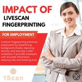 DOMEX - Updated December 2025 - 4624 NW 74th Ave, Miami, Florida ...