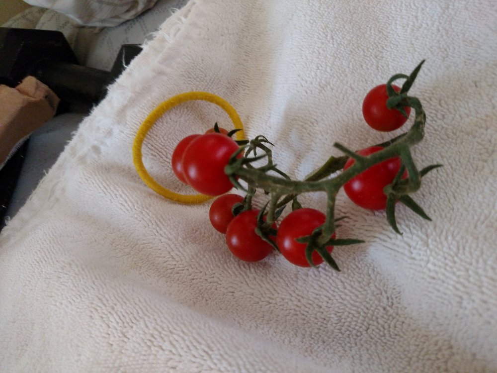 WESTERN MIXERS PRODUCE & NUTS - Updated December 2025 - 2551 E ...