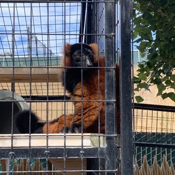 Vision Quest Ranch - 765 Photos & 271 Reviews - Bed & Breakfast - 400 ...