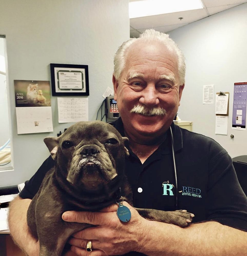 REED ANIMAL HOSPITAL - Updated August 2025 - 95 Photos & 347 Reviews ...