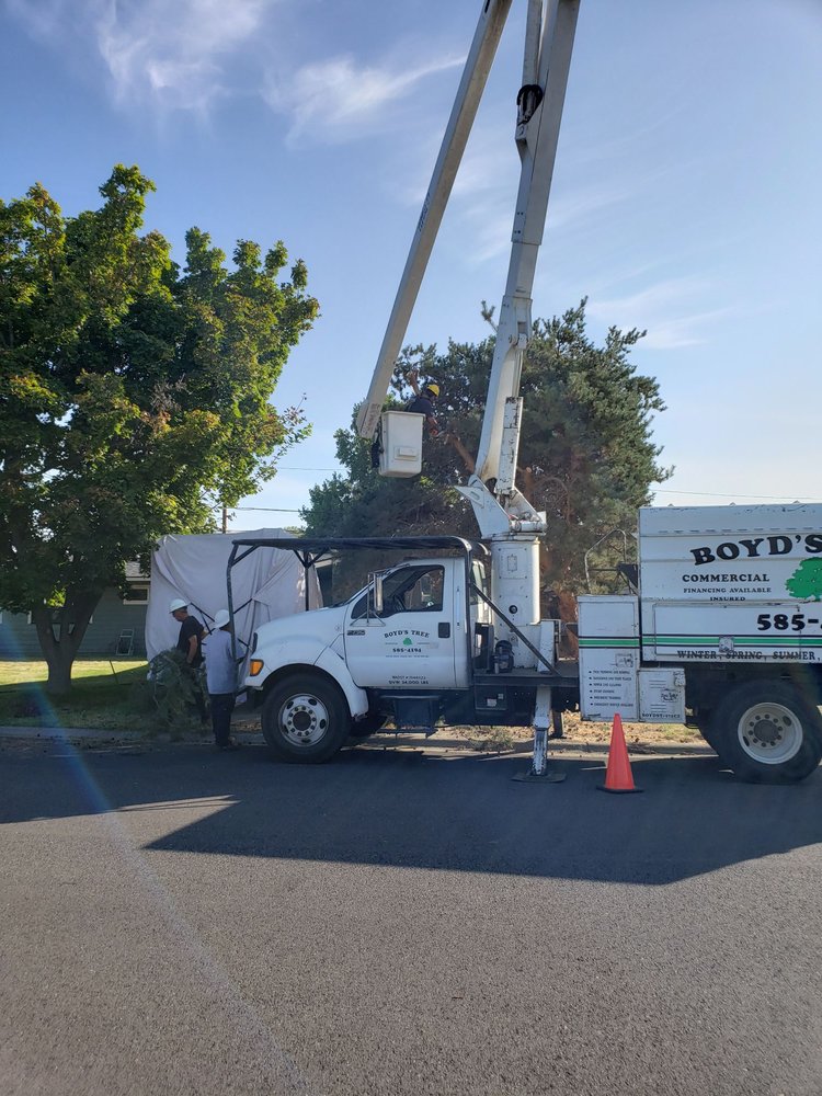 Boyd S Tree Service 13 Reviews 6350 W Brinkley Rd Kennewick