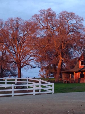 OPPORTUNITY ACRES - Updated October 2025 - 10 Photos - 7315 S Shingle ...