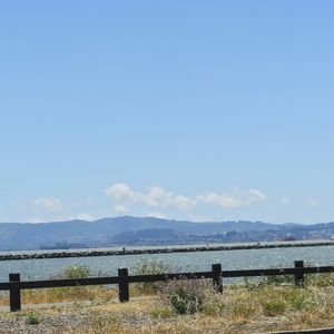 ENCINAL YACHT CLUB - Updated December 2025 - 14 Photos & 19 Reviews ...