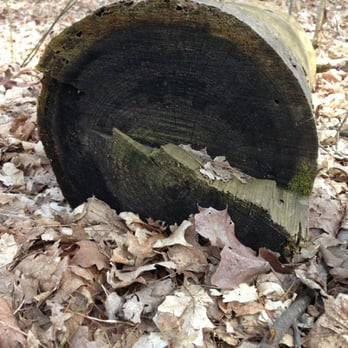 MITCHELL MEMORIAL FOREST - Updated November 2025 - 78 Photos & 10 ...