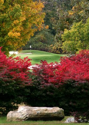 BLACK HALL CLUB - Updated October 2025 - 12 Photos - 49 Buttonball Rd ...