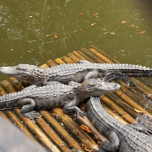 GOOD MOOD RANCH - Updated January 2025 - 34 Photos & 12 Reviews - 306 ...