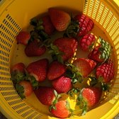 ATKINSON FARM - Updated December 2025 - 167 Photos & 74 Reviews - 3217 ...