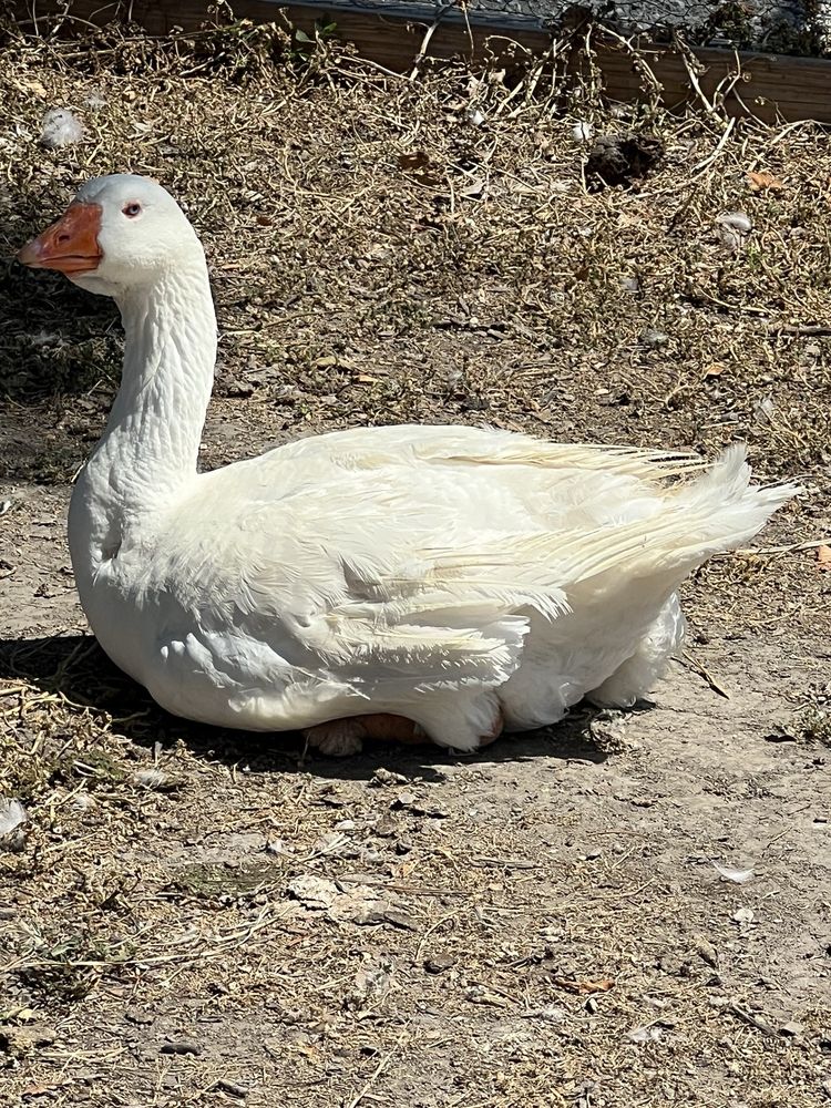 GOLDEN VIEW SCHOOL - Updated July 2025 - 17251 Golden View Ln ...