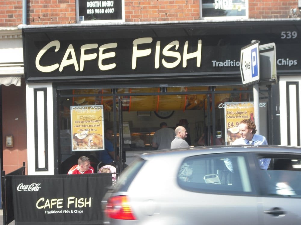 CAFE FISH - Updated September 2024 - 20 Photos & 13 Reviews - 539 ...