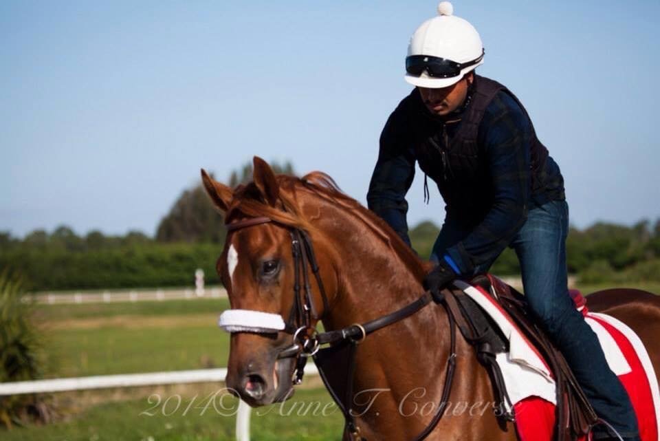 MICHAEL WILSON RACING STABLE - 20 Photos - 285 W Huntington Dr, Arcadia ...