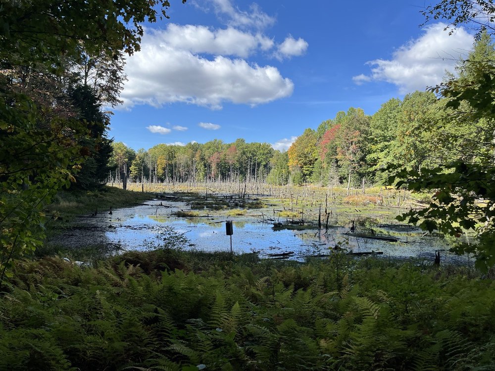 ZOAR VALLEY - Updated October 2025 - 126 Photos & 24 Reviews ...