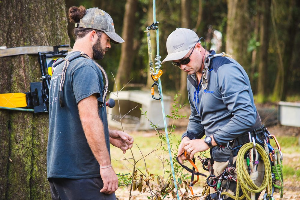 STICK MAN TREE SERVICE - Updated May 2025 - 26 Photos - 1079 Farmer St ...