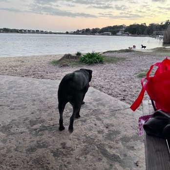 BAYVIEW DOG BEACH - Updated December 2025 - 88 Photos & 58 Reviews ...