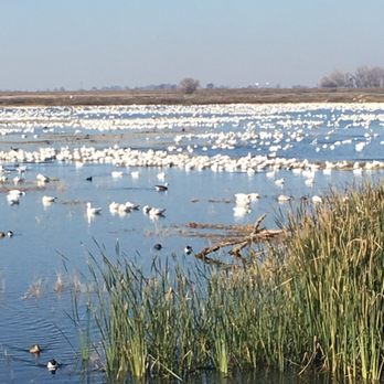 MERCED NATIONAL WILDLIFE REFUGE - Updated December 2025 - 119 Photos ...