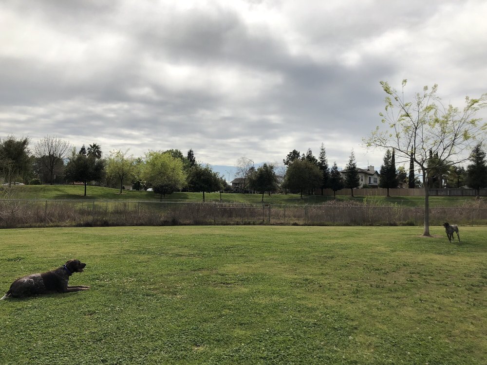 THE JIMMIE LOW COMMUNITY DOG PARK - 10 Photos - 1565 Oak Dr, Dinuba ...