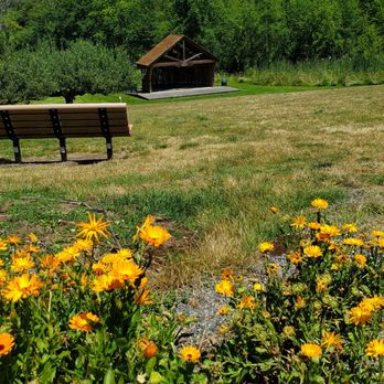 CURRAN APPLE ORCHARD - Updated July 2025 - 15 Photos - 3920 Grandview ...