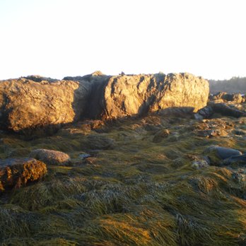 POTT’S POINT PRESERVE - Updated December 2025 - 29 Photos - Potts Point ...