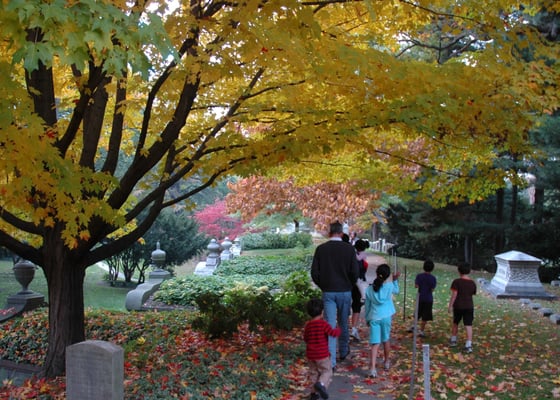 MOUNT AUBURN CEMETERY - Updated November 2024 - 298 Photos & 136 ...
