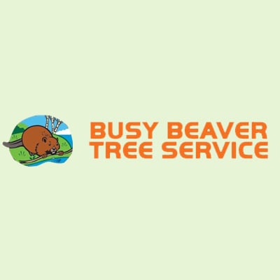 BUSY BEAVER TREE SERVICE - Updated December 2025 - Waterbury ...