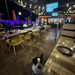 OHSO & LITTLE O’S - Updated November 2025 - 125 Photos & 91 Reviews ...