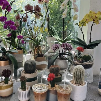 REMI43 FLOWER & COFFEE - Updated December 2024 - 359 Photos & 160 ...