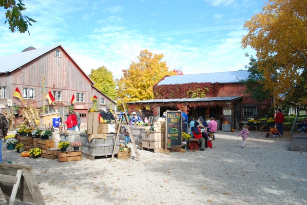 THE LITTLE FARMER - Updated November 2024 - 45 Photos & 11 Reviews ...